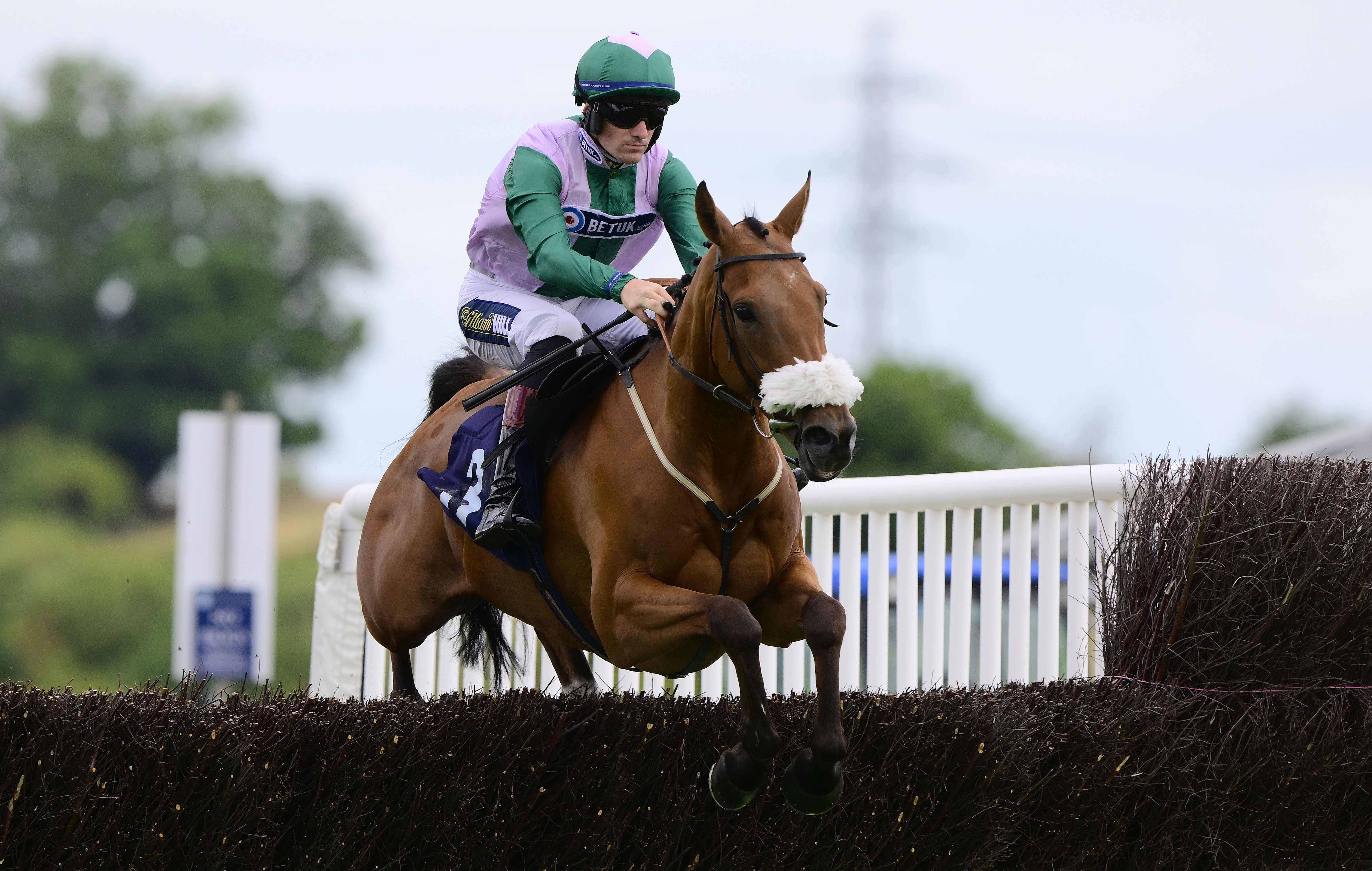 Racing Preview Tues 30 Aug '22 | Newton Abbot Racecourse | Newton Abbot ...